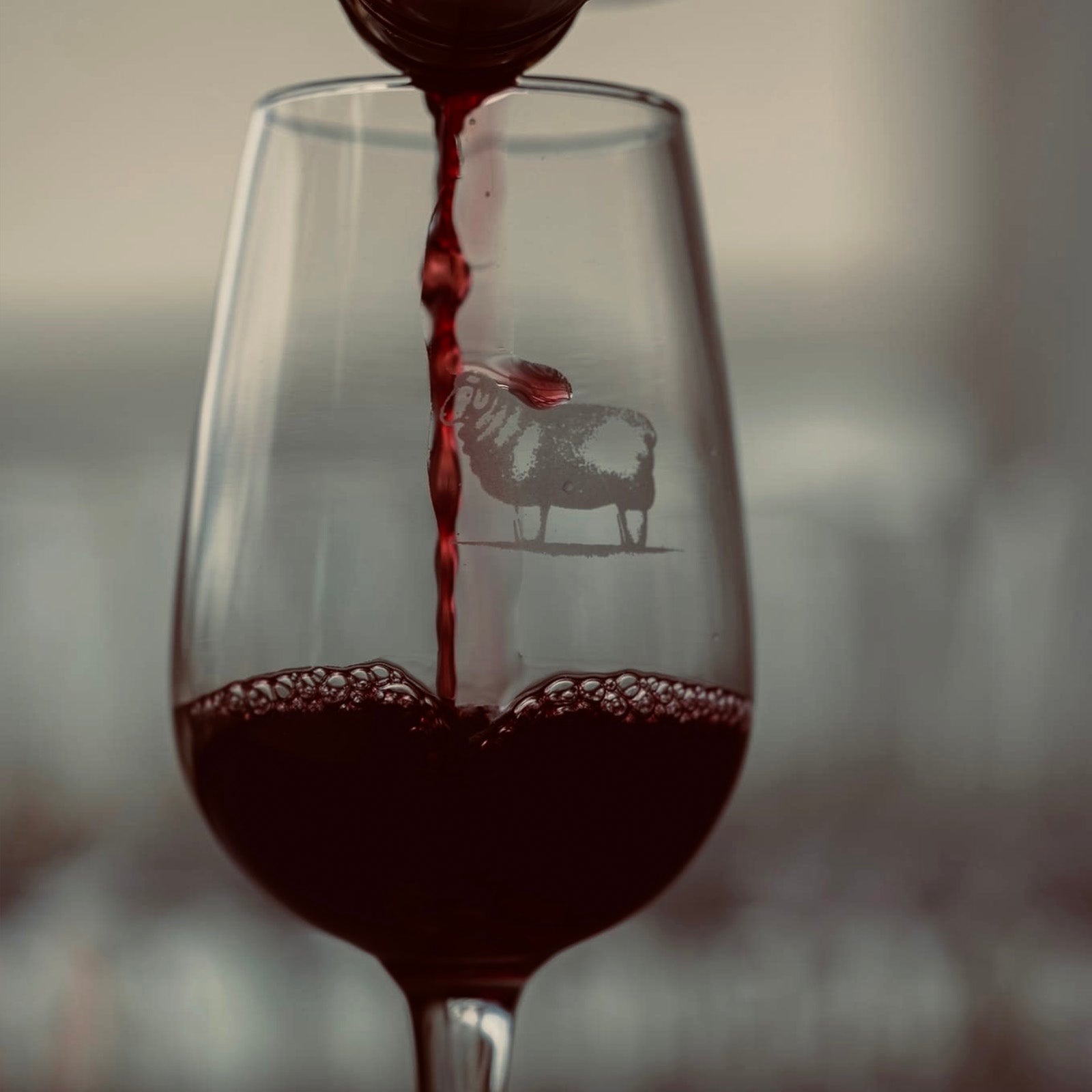 Hermanuspietersfontein Swartskaap, Cabernet Franc ...