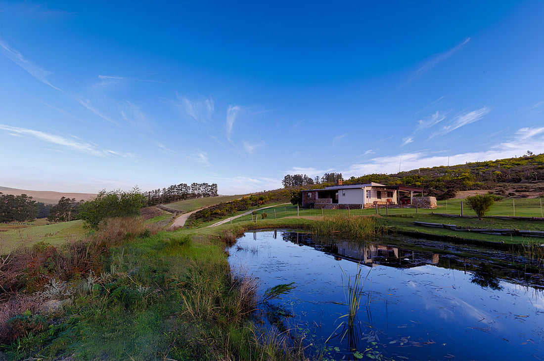 Posmeester – Hermanuspietersfontein Wines